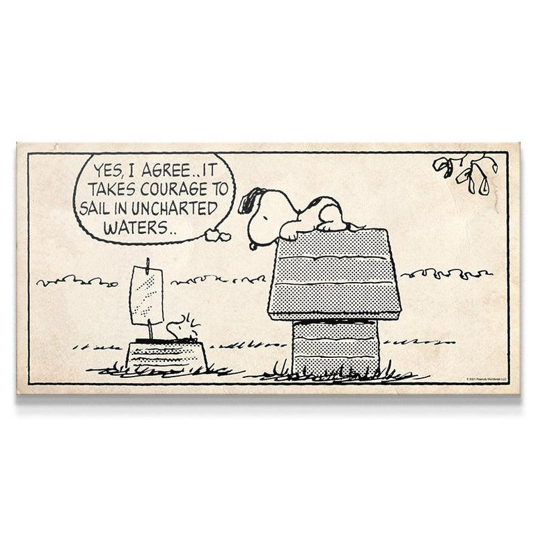 IKONICK Official Peanuts Art | Licensed Canvases & Prints