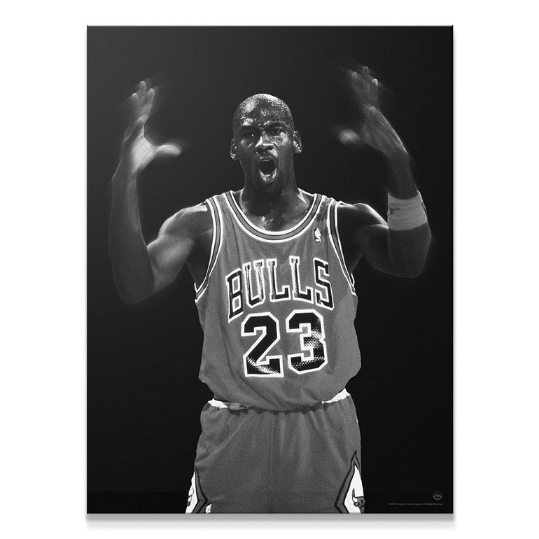 Officially Licensed Michael Jordan Art Collection | IKONICK