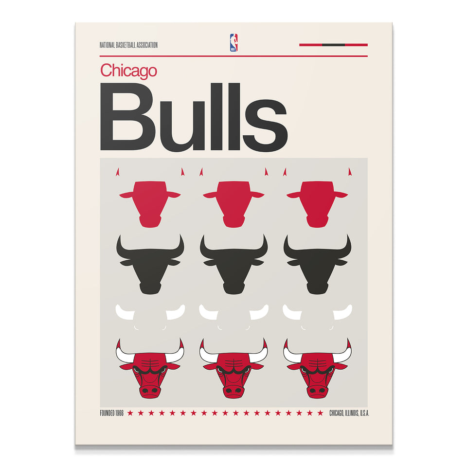 Deconstructed Logo - Bulls - Officially Licensed NBA Canvas Art