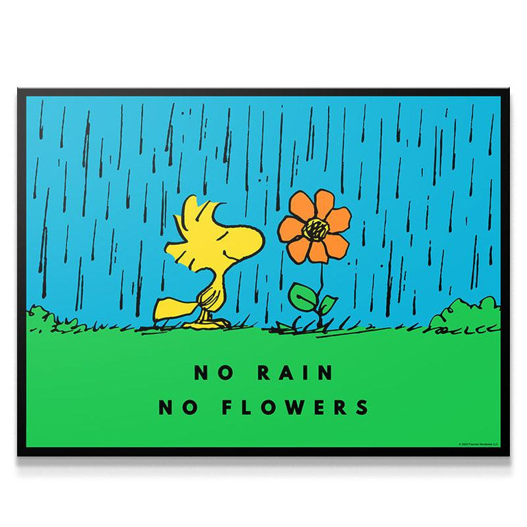 Licensed Peanuts Art - Canvases & Prints | Only from IKONICK