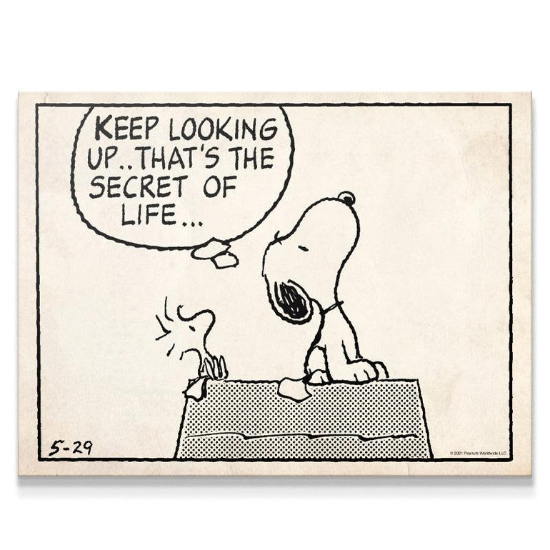 IKONICK Official Peanuts Art | Licensed Canvases & Prints