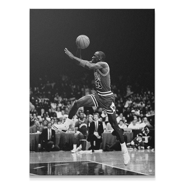 Officially Licensed Michael Jordan Art | Designed by IKONICK